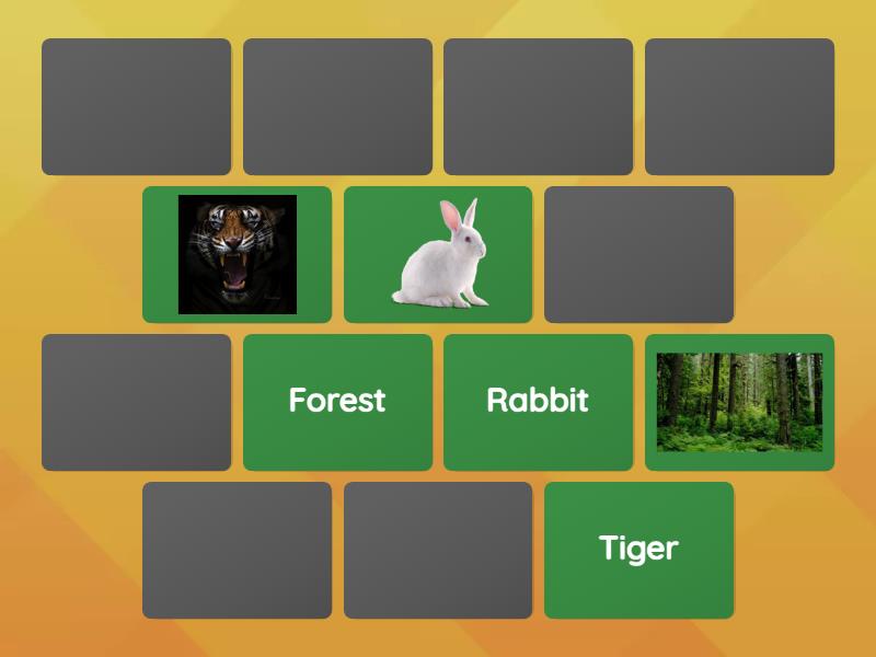 The tricky rabbit - Matching pairs