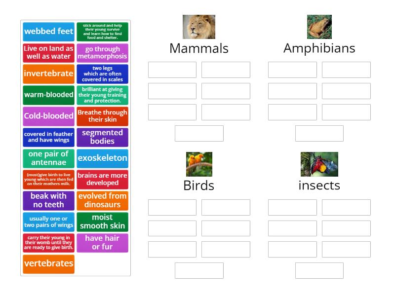 Animal Characteristics - Group sort