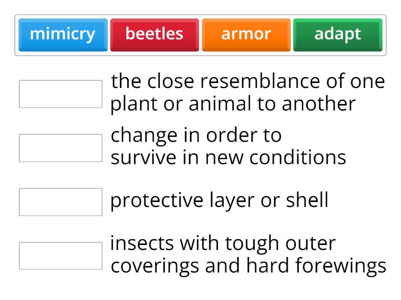 Armored Tanks of the Insect World - Associação