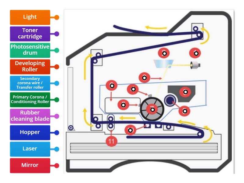 Laser Printer Components - Diagrama con etiquetas