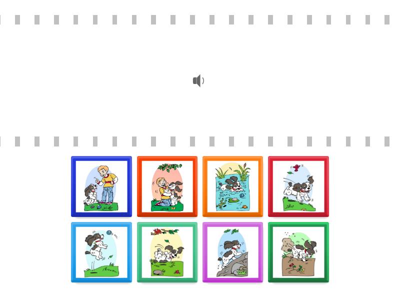 RAZ- my dog - Find the match