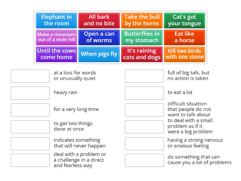 Match animal idioms to their meanings - 5C - Match up