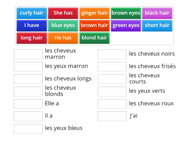 Reading/matching Les yeux et les cheveux - Match up