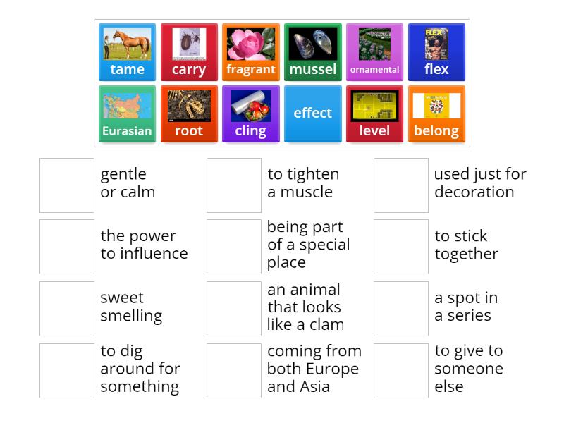 Vocabulary Ecosystem Invaders - Match up