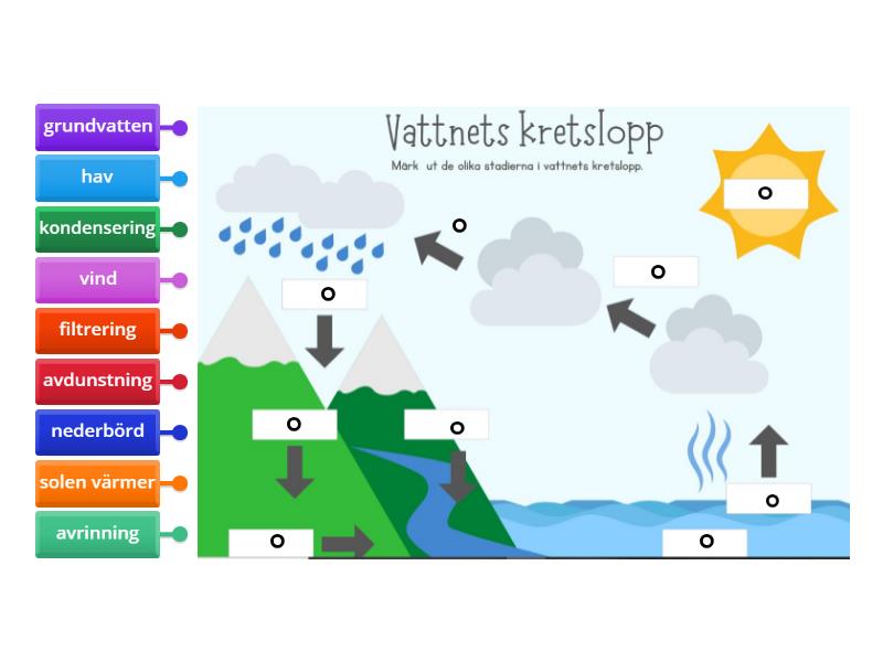 Vattnets kretslopp (bara begrepp) - Labelled diagram