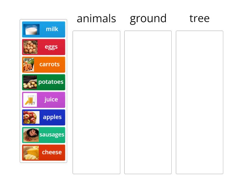 SMS unit 7 categorising - Categorize