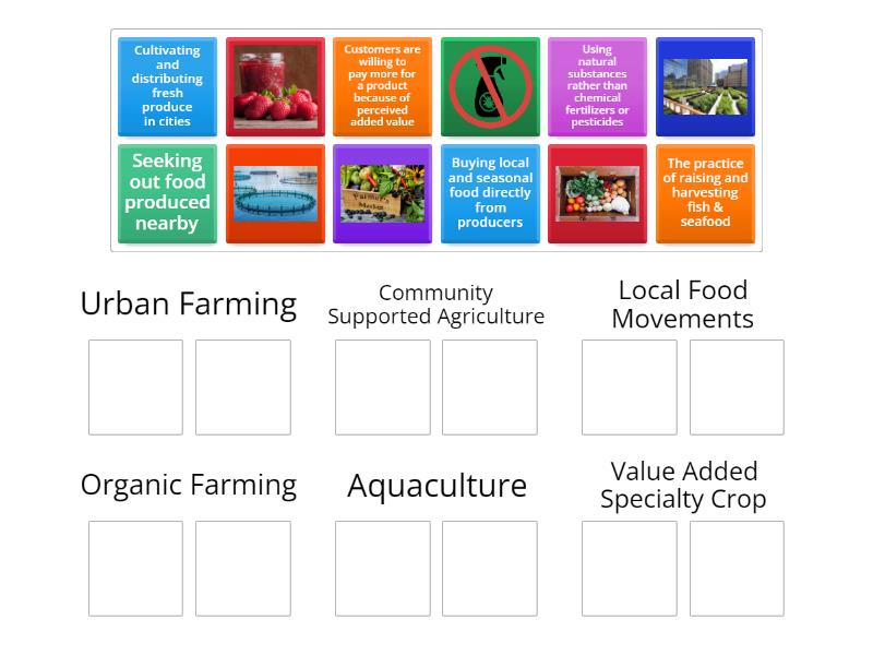 5.11 Sustainable Agriculture - Group sort