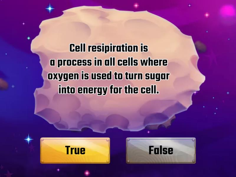 Science- Cell Respiration - True or false
