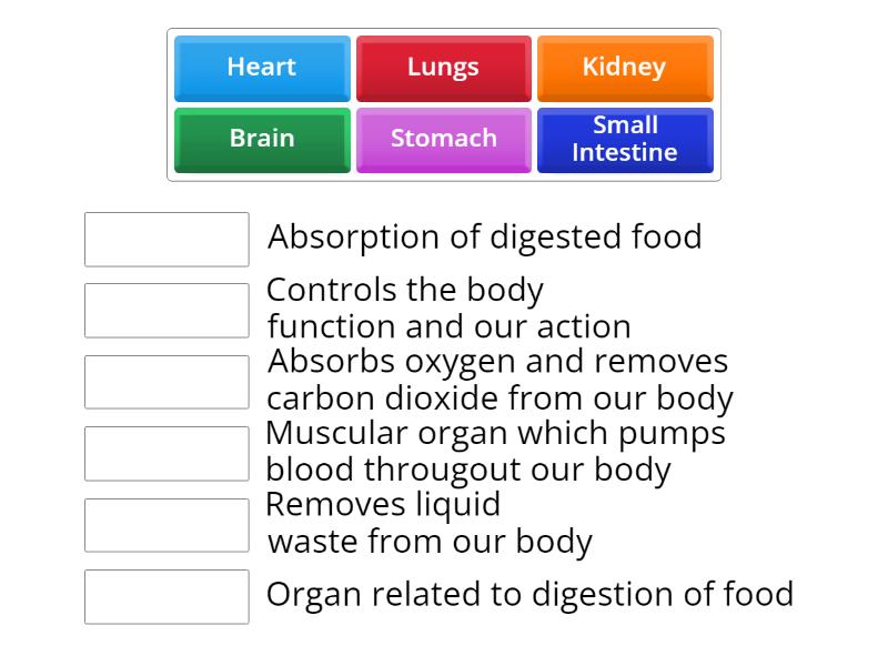 Human body - Match up