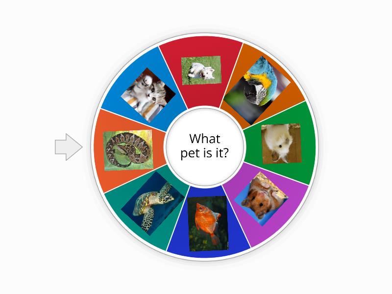 Pets - Spin the wheel