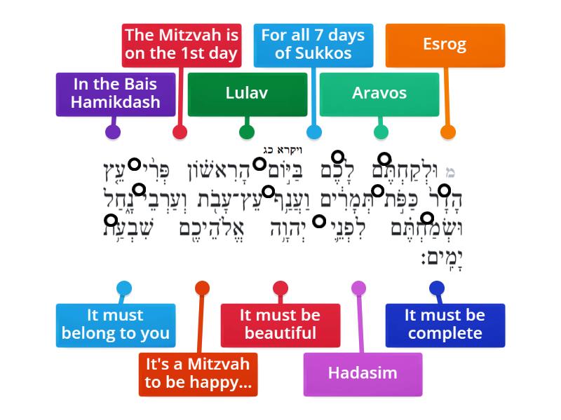What Do We Learn from the Pasuk? U'likachtem - Mishnayos Sukkah - Perek ...