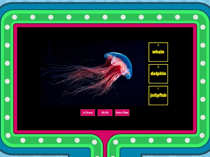 G2 [READING] Sea Animals-2 - Gameshow quiz