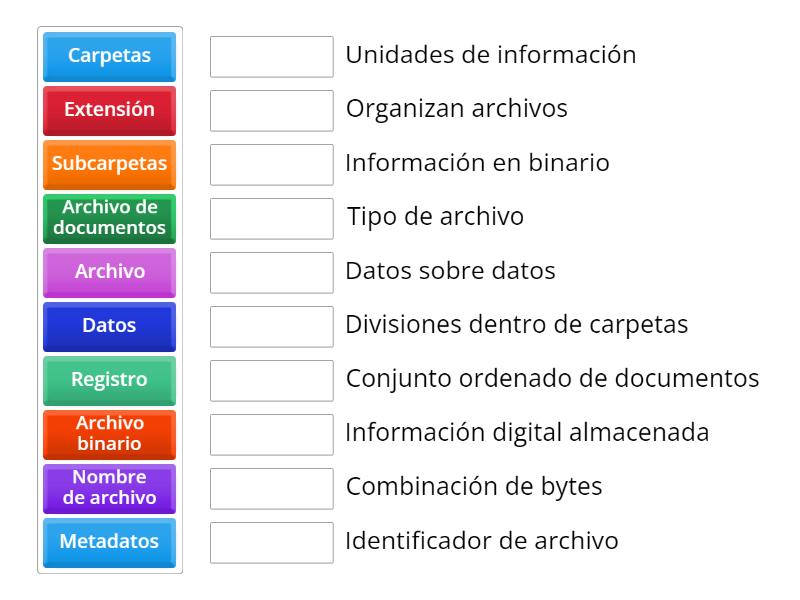 Entendiendo los Archivos Informáticos - Match up
