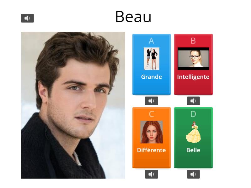 Les adjectifs qualificatifs - LEÇON 2 - Étape 3 (3) - Quiz