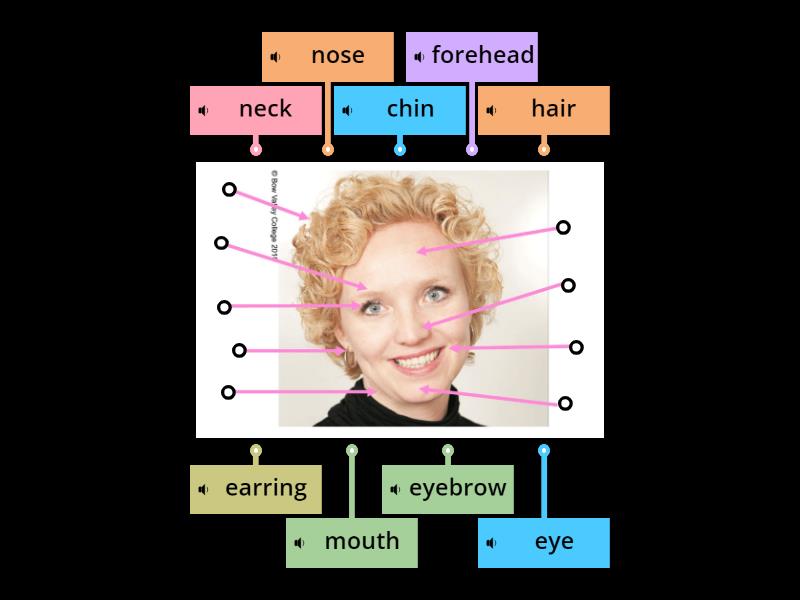 Face ~label diagram - Labelled diagram