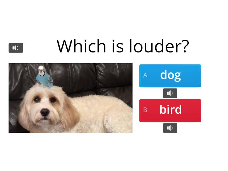 More (Suffix -er) #3 - Quiz