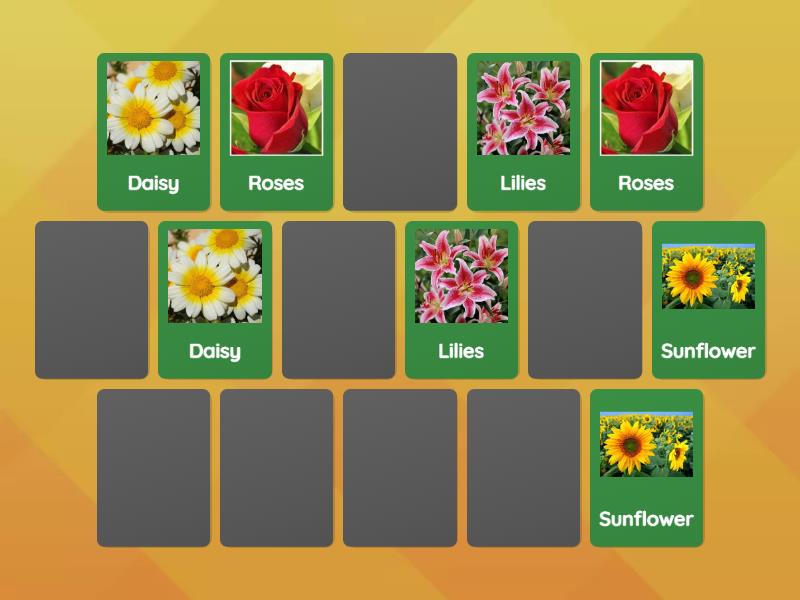 Matching Flowers - Matching pairs