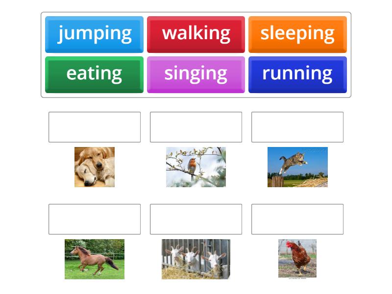 EOW2 - Unit 1 - Grammar 1 - action verbs - Match up