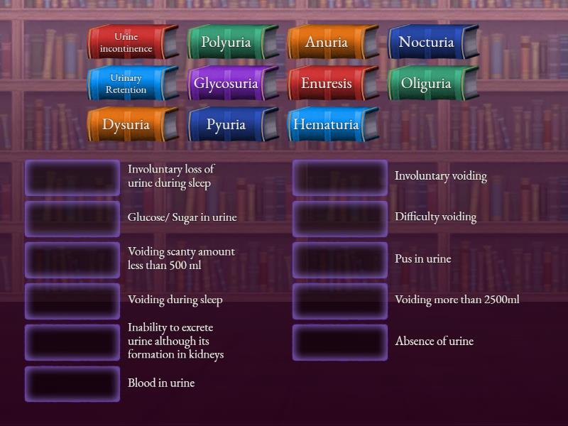 Urinary Terms - Match up