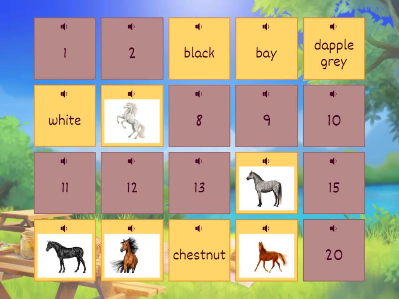 Horse colours - Matching pairs