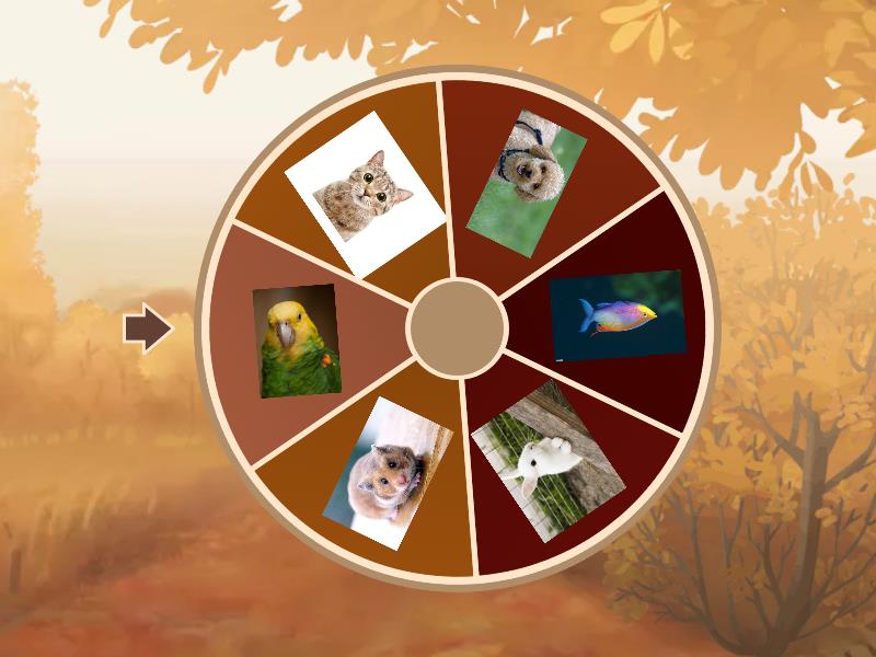 animals - Random wheel