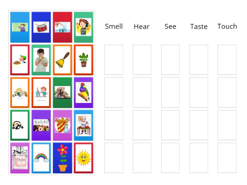5 Senses Sorting Activity - Group sort