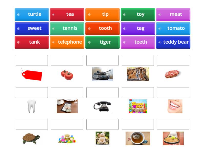 Go Kiwi Phonics B2｜Unit 3 Consonant "t" - Match up