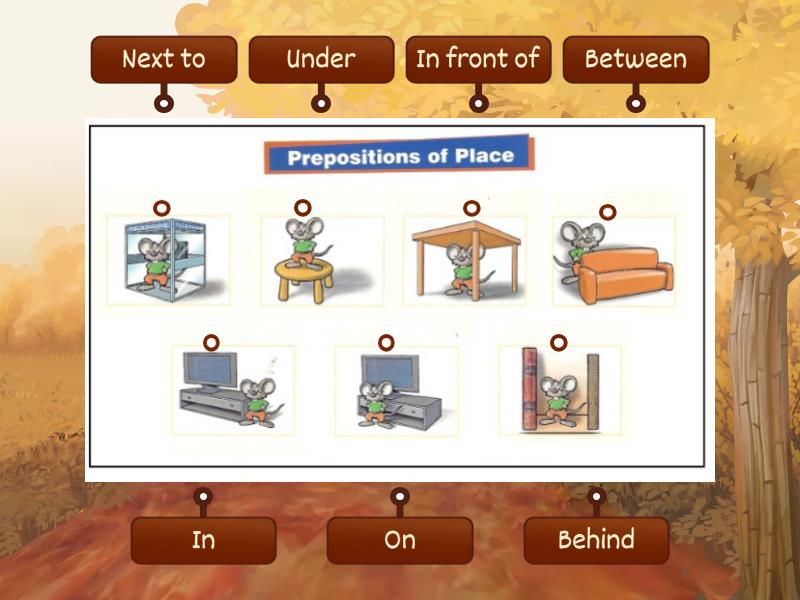 KB2 _U8_ Prepositions Label - Labelled diagram