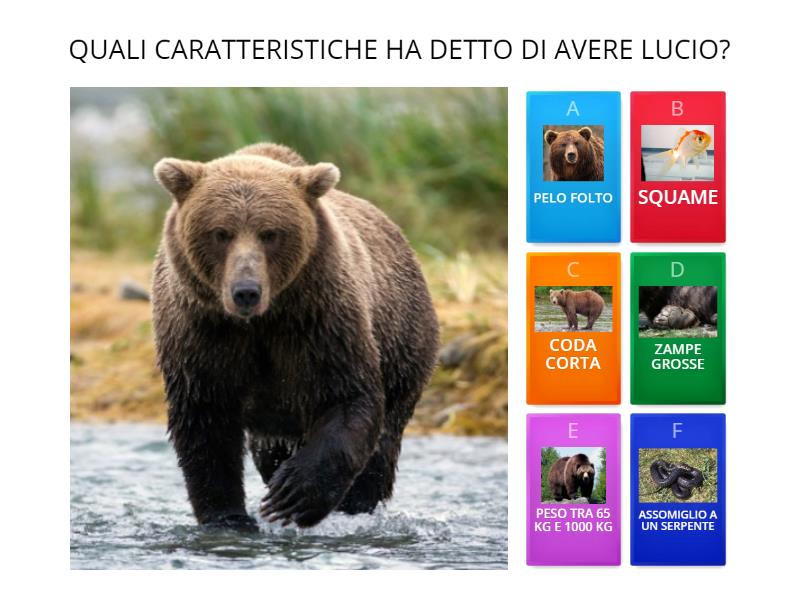 GLI ANIMALI DEL BOSCO - Quiz