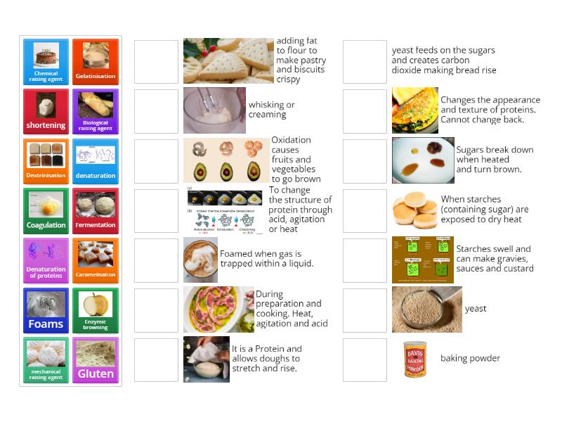 Food science vocabulary - Match up