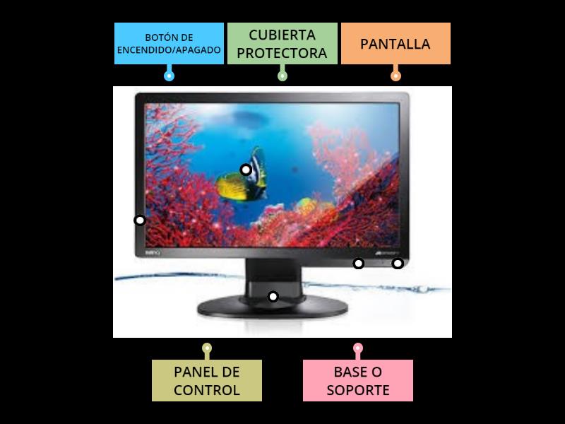 Partes del Monitor - Rysunek z opisami