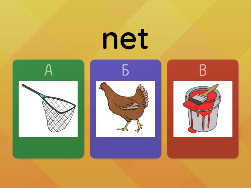 Choose the right picture. - Quiz