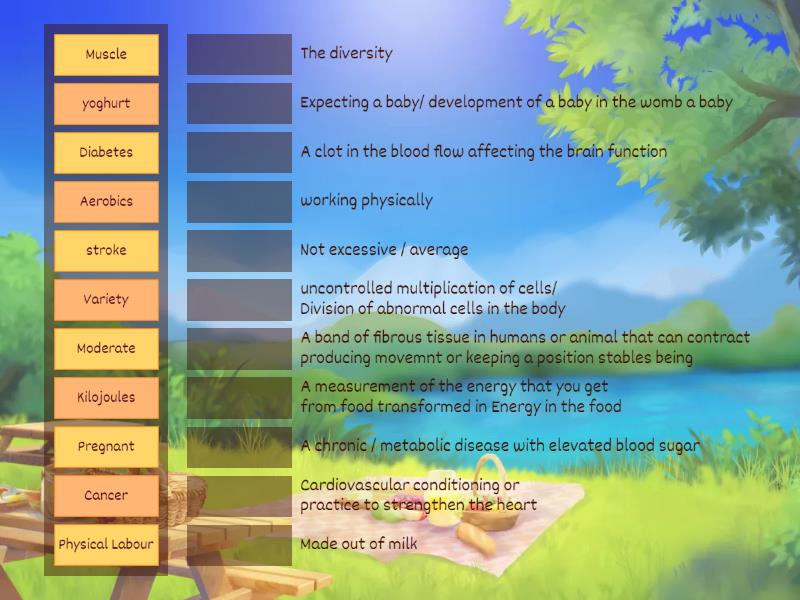 Match the vocabulary with their meaning - Match up