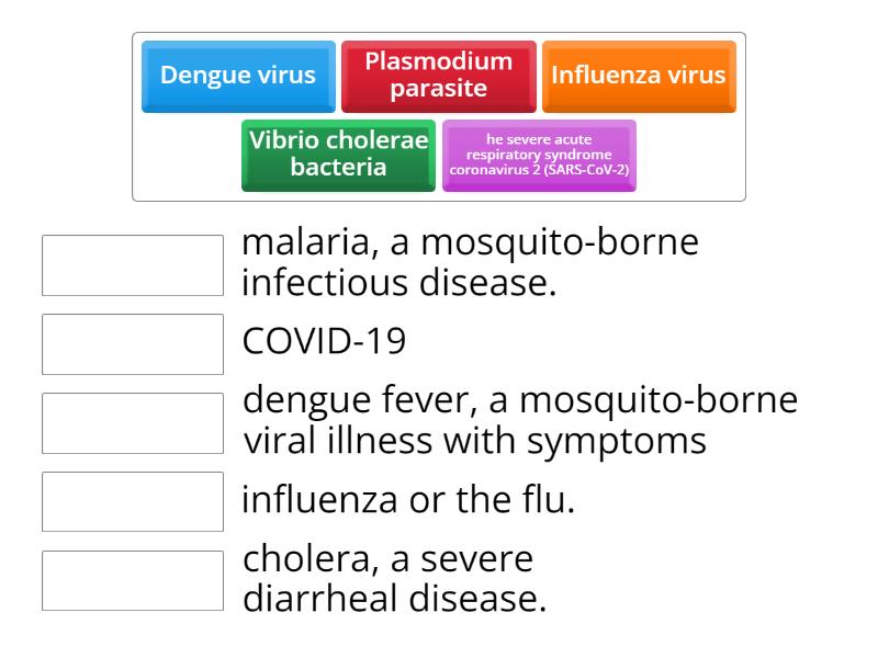 Pathogen vs Disease - Match up