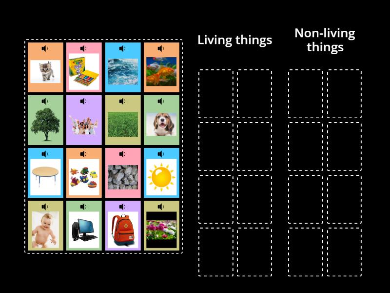 Living and non-living things - Group sort