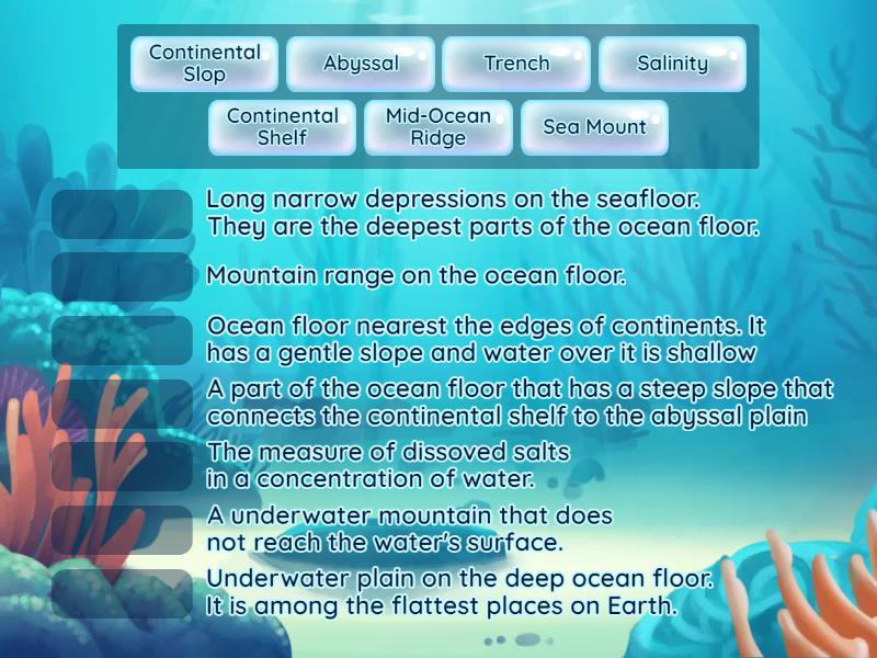 Ocean Floor Vocabulary - Match up