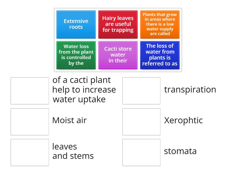 Plant Adaptations Match Up