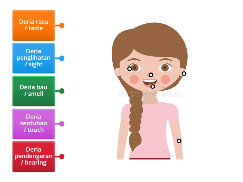 Sains Tahun 1 - unit 1 Labelkan Deria / senses - Labelled diagram