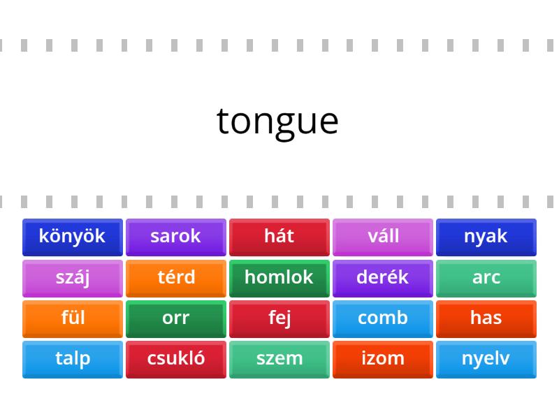Testrészek - body parts - Find the match