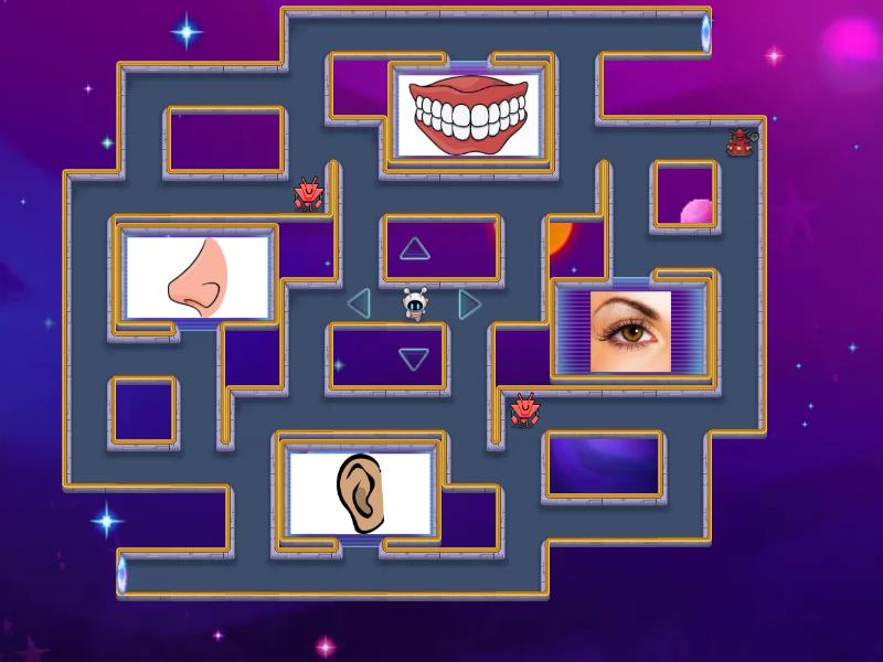 parts of the face - Maze chase