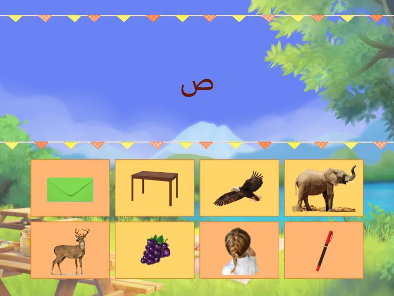 choose the right picture - Find the match