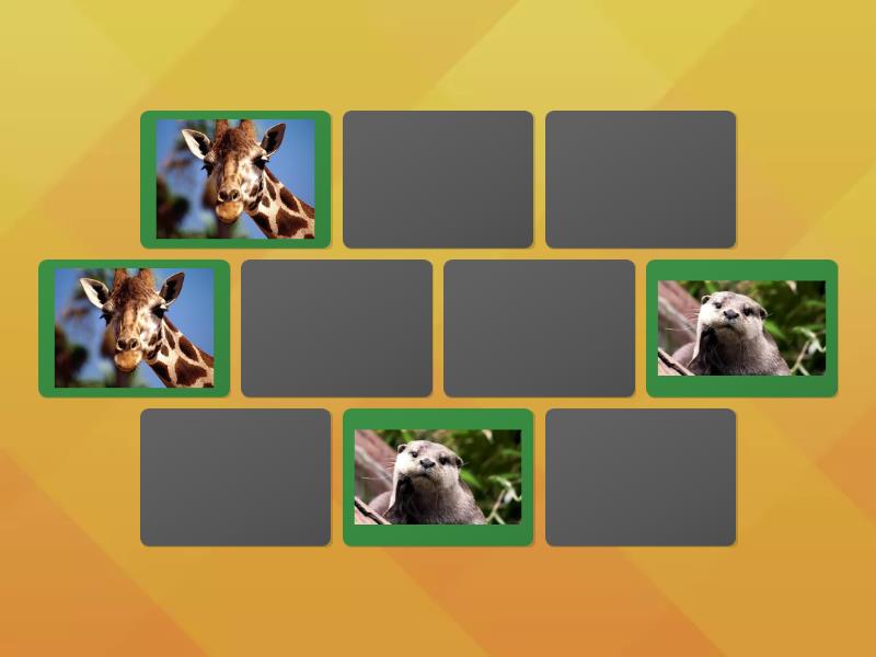 Memoria - Matching pairs