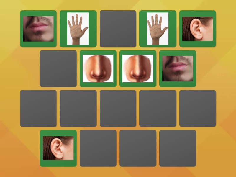 Parts of the body - Matching pairs