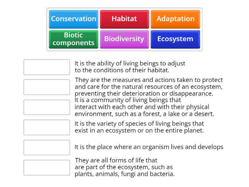 Natural Habitats and Ecosystems - Match up