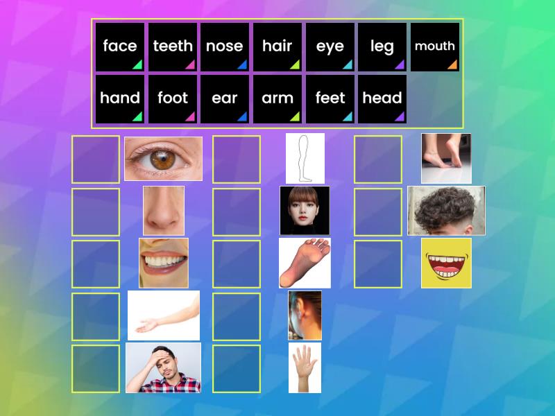Parts of the body - Match up