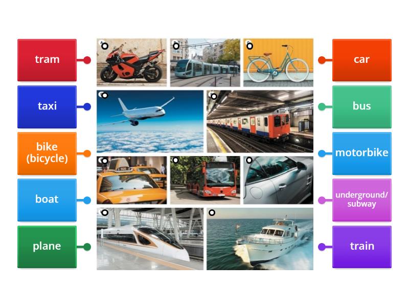 Transport - Labelled diagram