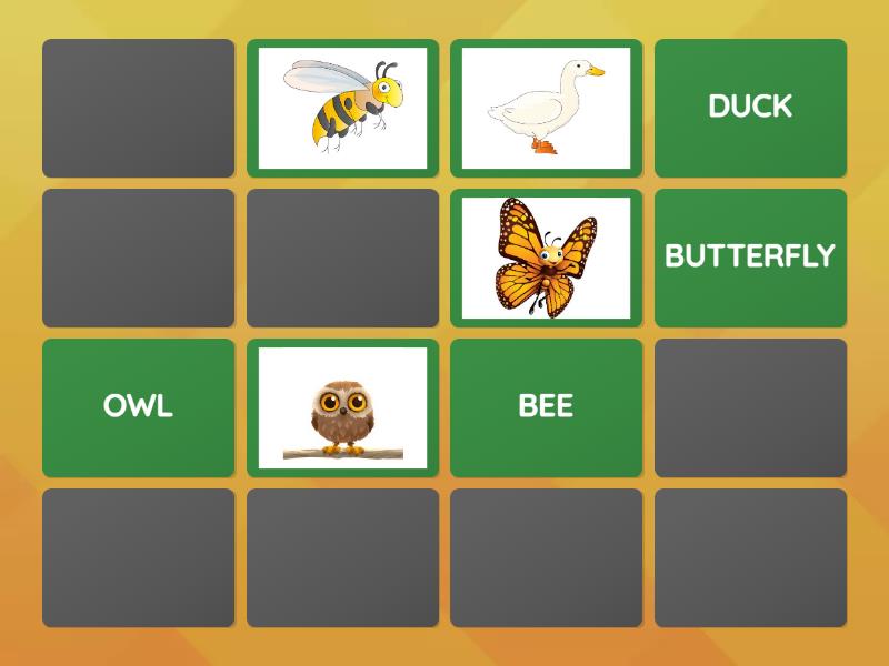 UNIT 5 - NATURE AROUND US - Matching pairs