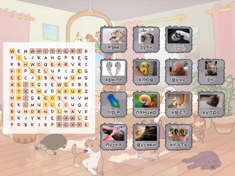 Animals Body parts - Wordsearch
