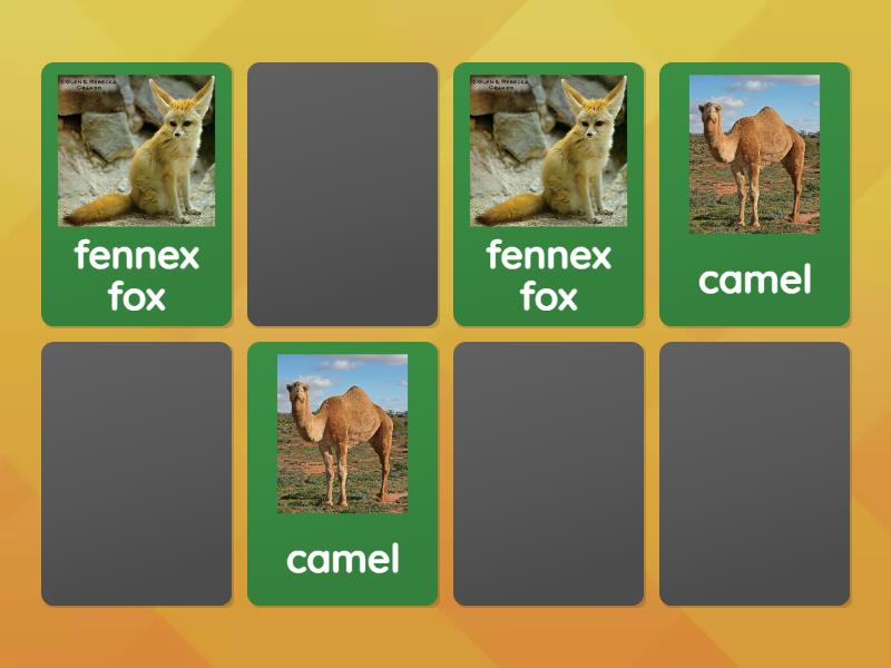 Desert Animal Memory Game - Matching pairs