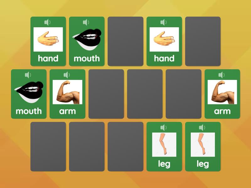 Body parts - short - Matching pairs